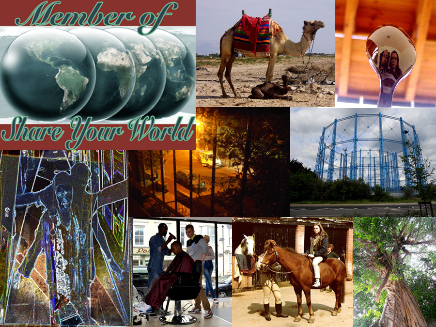Share Your World – 2014 Week 2 – Khana's Web